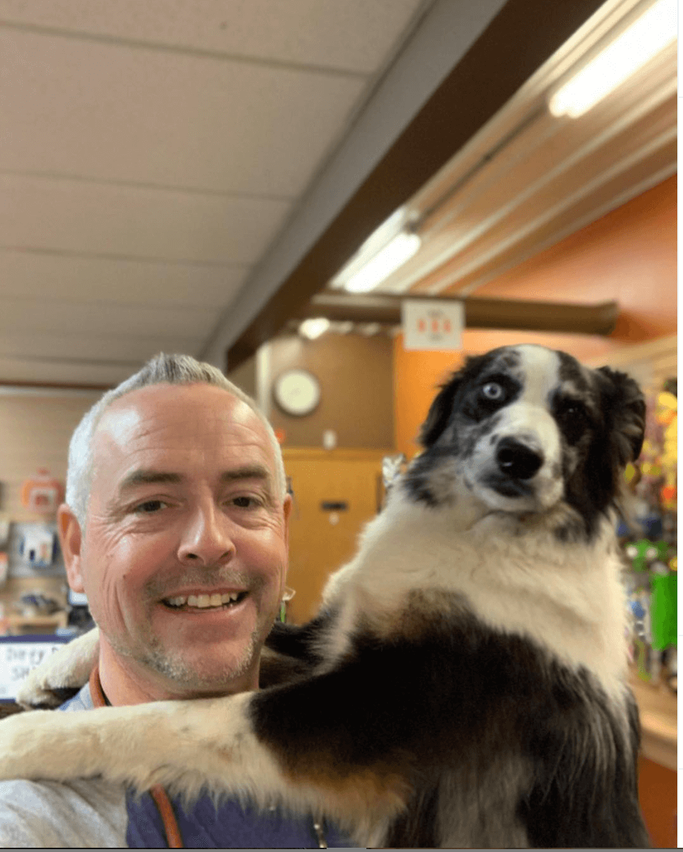 Dog Training Belleville WI | Dog Daycare, Boarding, Grooming